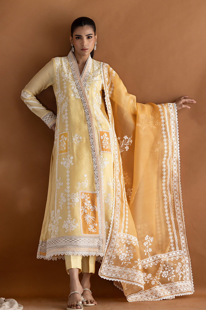 Amber Luxe – NidaAzwerPK